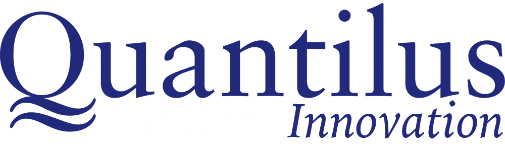 Software Development Company In New York | IT Services | Quantilus